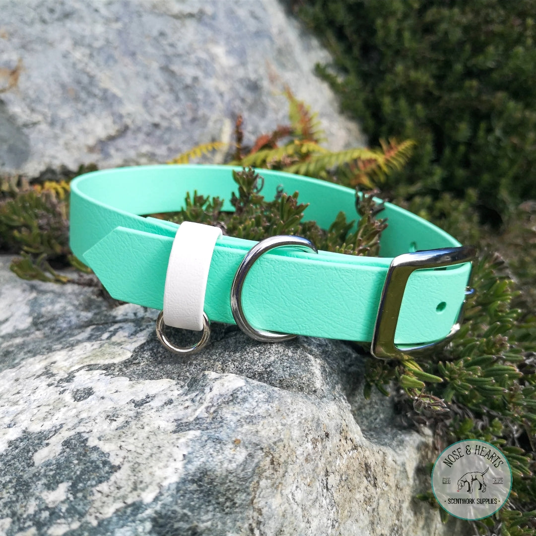 Metal Pin Collars – Nose and Hearts Scentwork Supplies