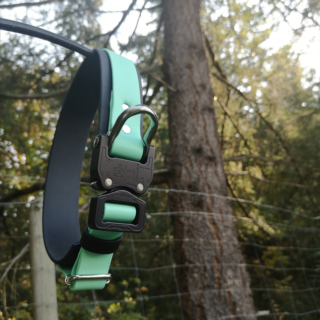 Pro Cobra BioThane® Collars – Nose and Hearts Scentwork Supplies