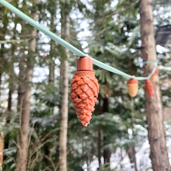 Training Aids – Nose and Hearts Scentwork Supplies