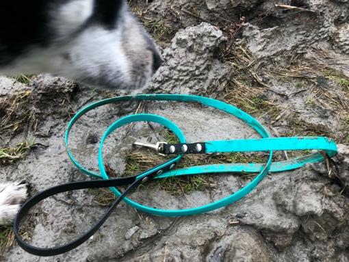 BioThane® Care Guide – Nose and Hearts Scentwork Supplies