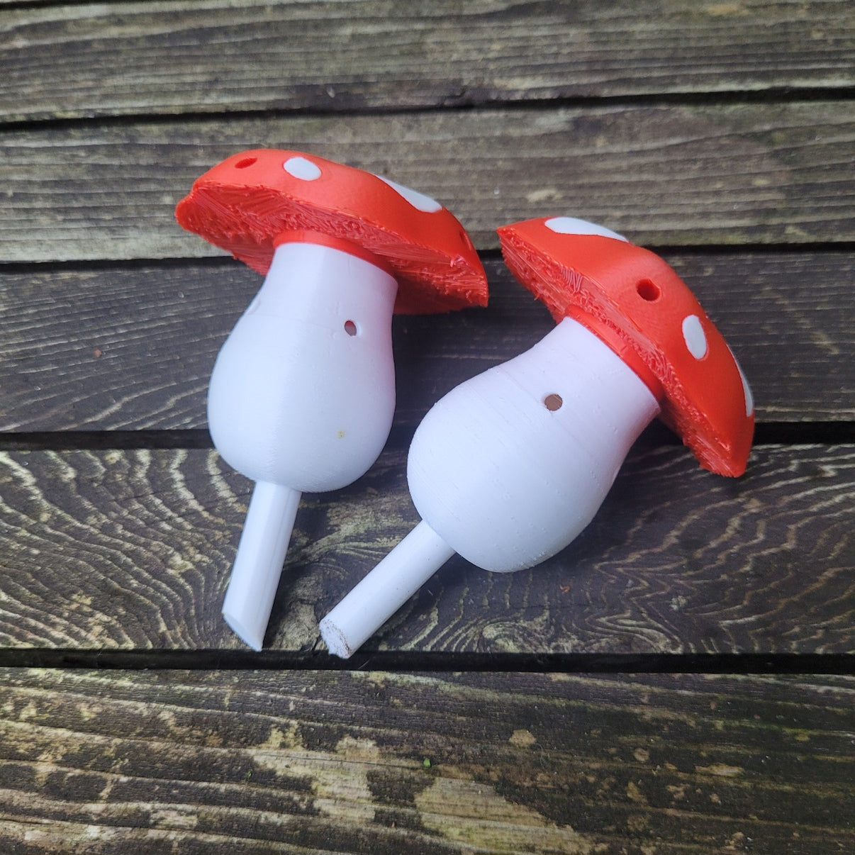 Scentwork Vessel: Spotted Mushroom – Nose and Hearts Scentwork Supplies