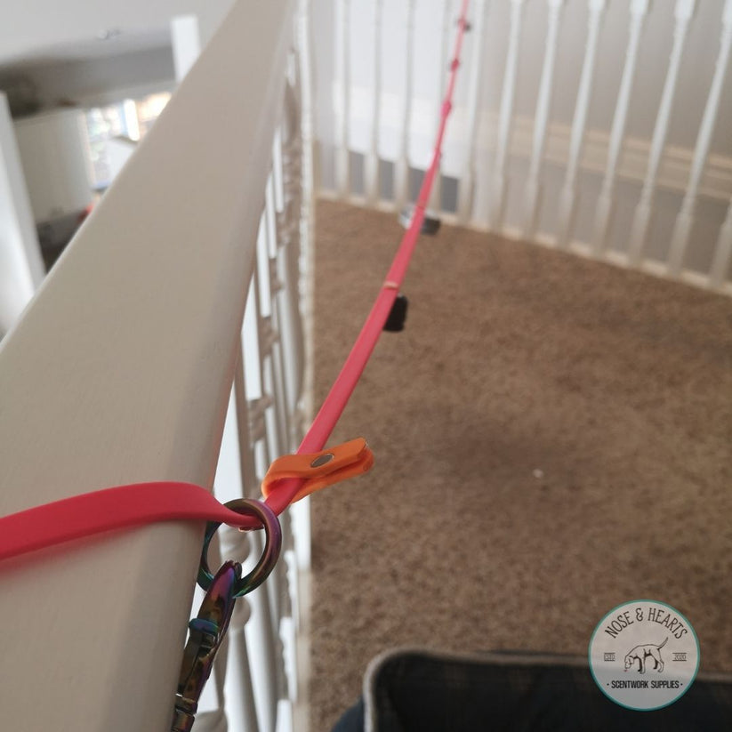 Magnetic Aerial Sniff Line – Nose and Hearts Scentwork Supplies